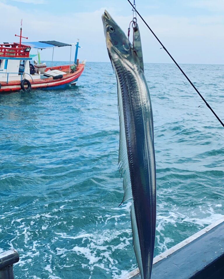 タイでも釣りは出来る！ タイで釣りをする方法を分かりやすく解説します | Aray koh diary
